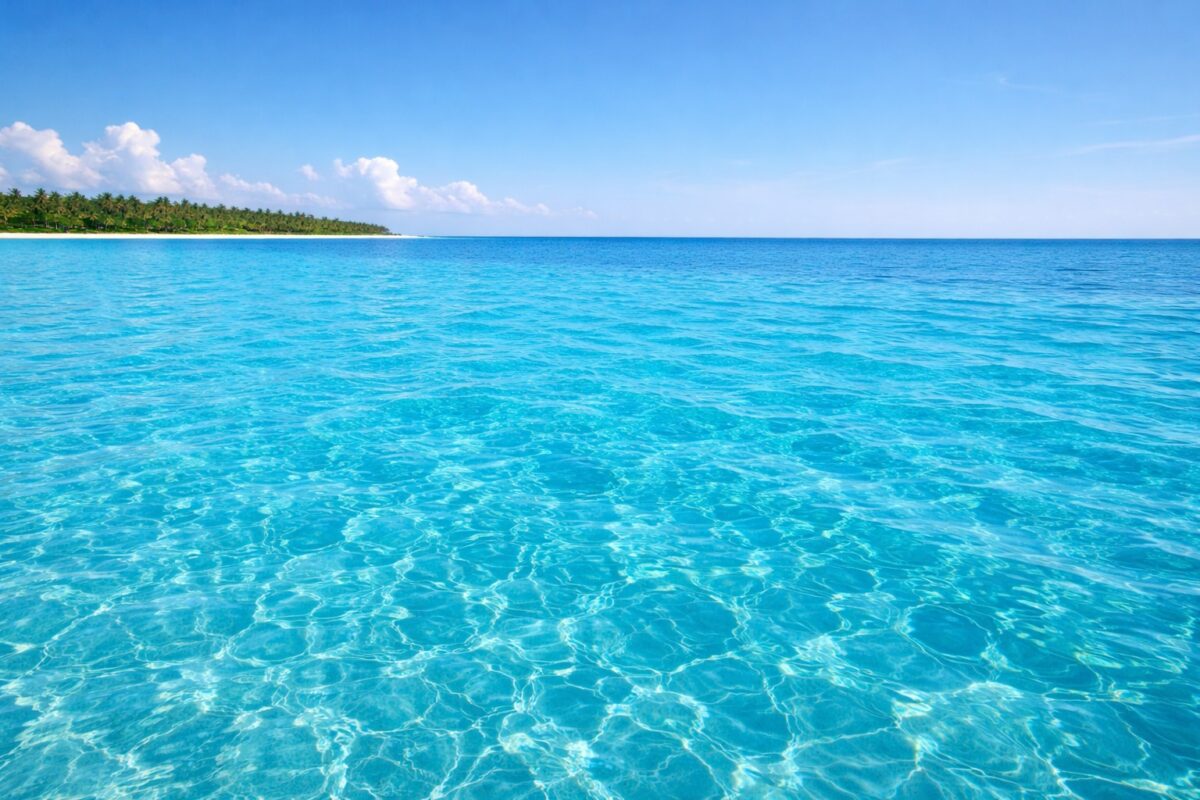 Environmental Studies - OCEANOGRAPHY For Sustainable Development - O4SD